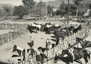 Tanque Verde Guest Ranch - Arizona Dude Ranch Association